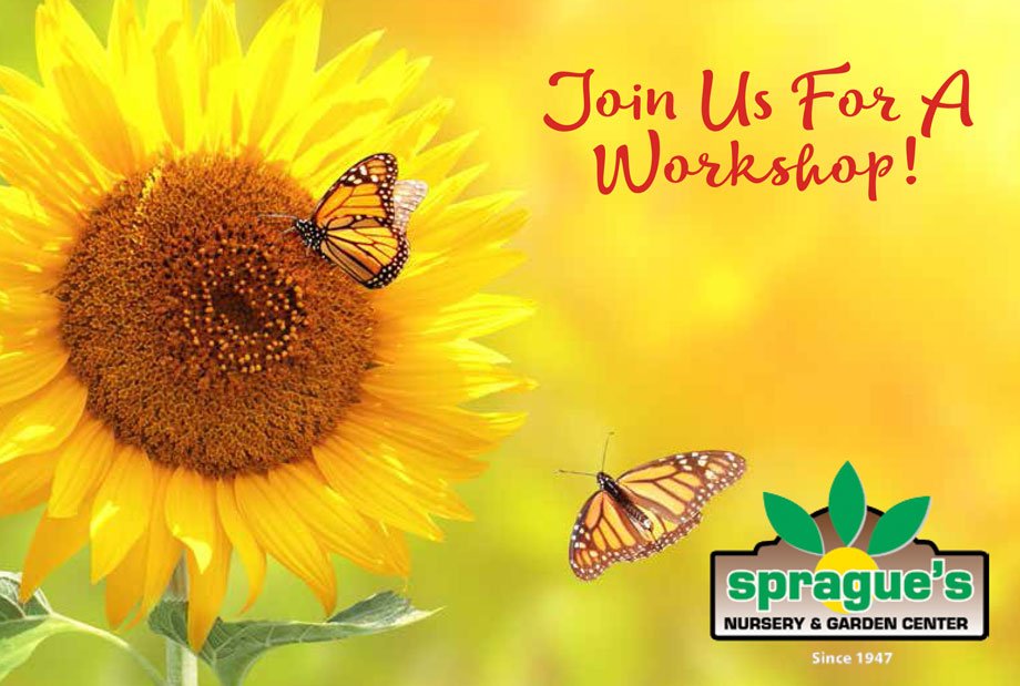 Sprague’s Nursery & Garden Center | Plant Nursery | Bangor, ME